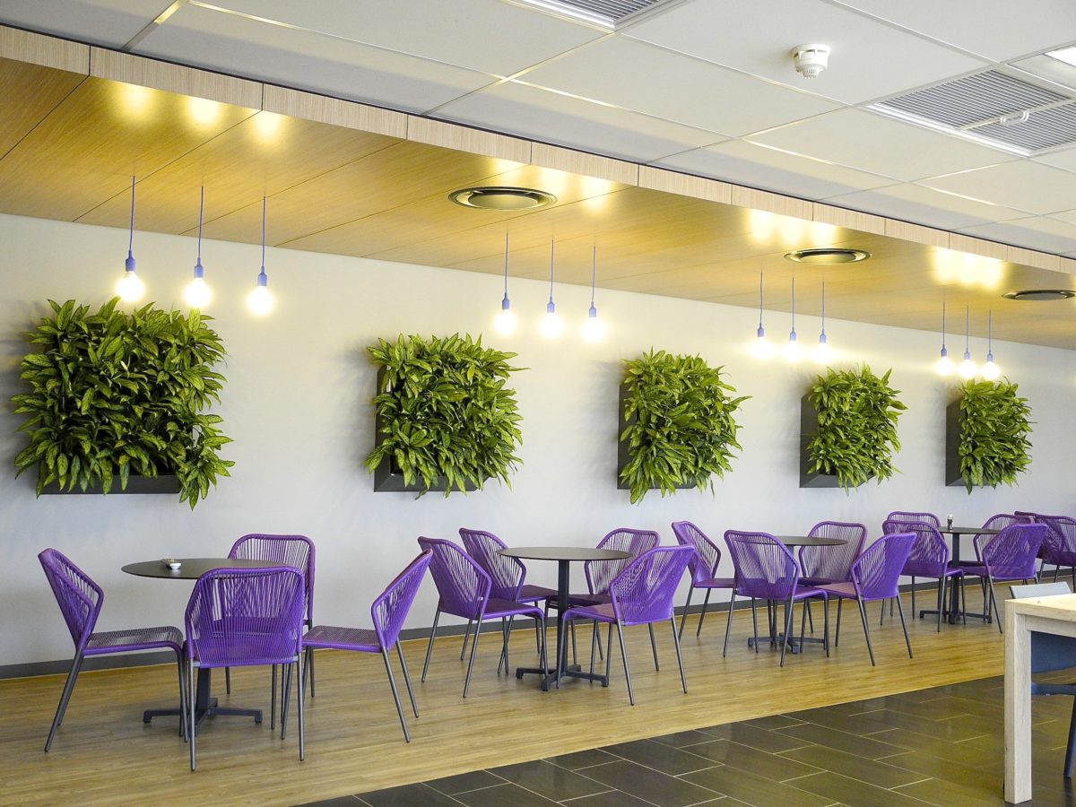 Is ‘green office envy’ the way to attract the next generation ...