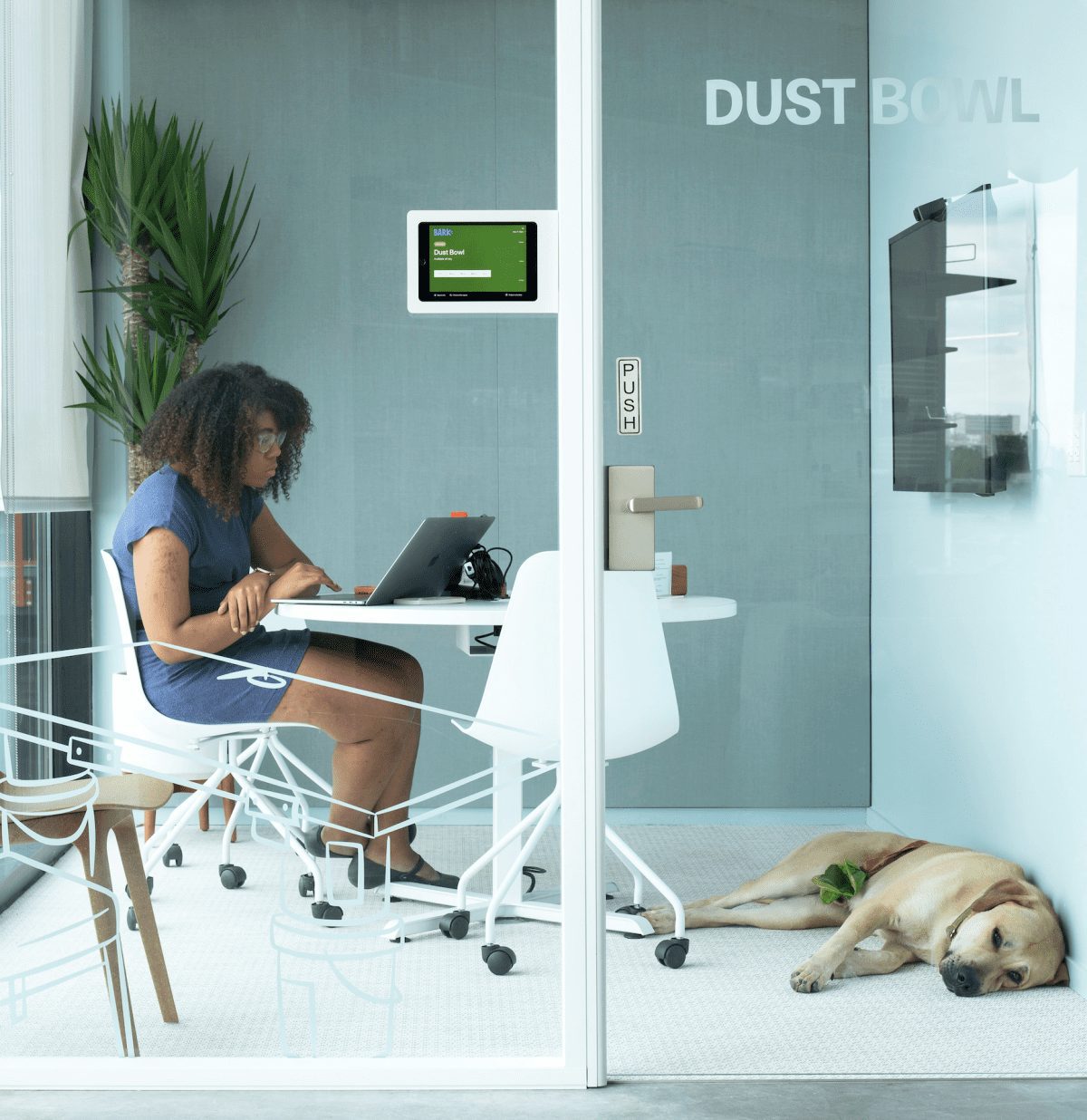 5 tips on creating a dog-friendly workplace - OnOffice | Design at Work