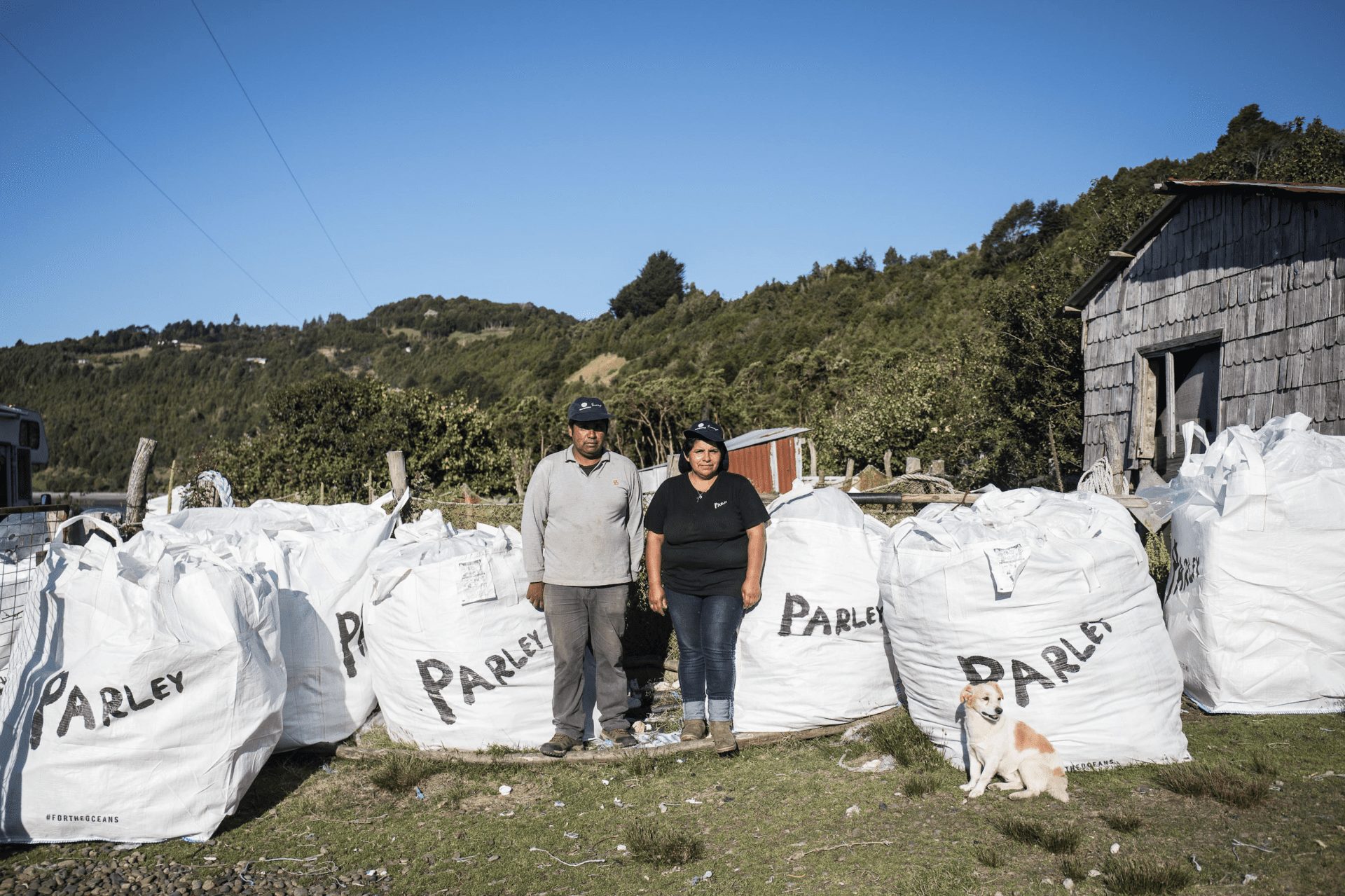 World Oceans Day 2021: Parley for the Oceans raises awareness of the ...
