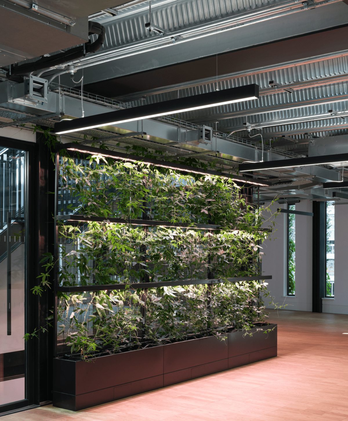 Plantworks embraces biophilic design to bring the outdoors inside ...