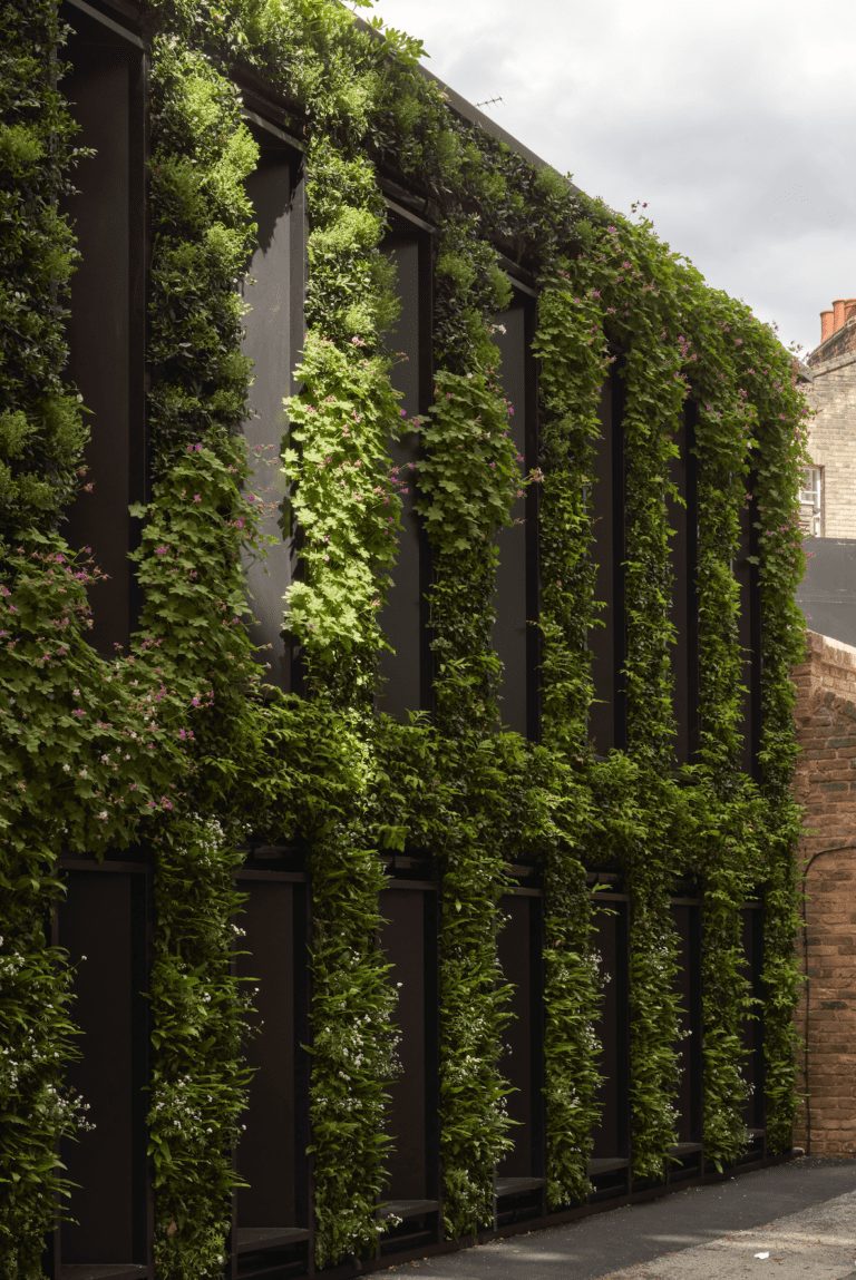 Plantworks embraces biophilic design to bring the outdoors inside ...