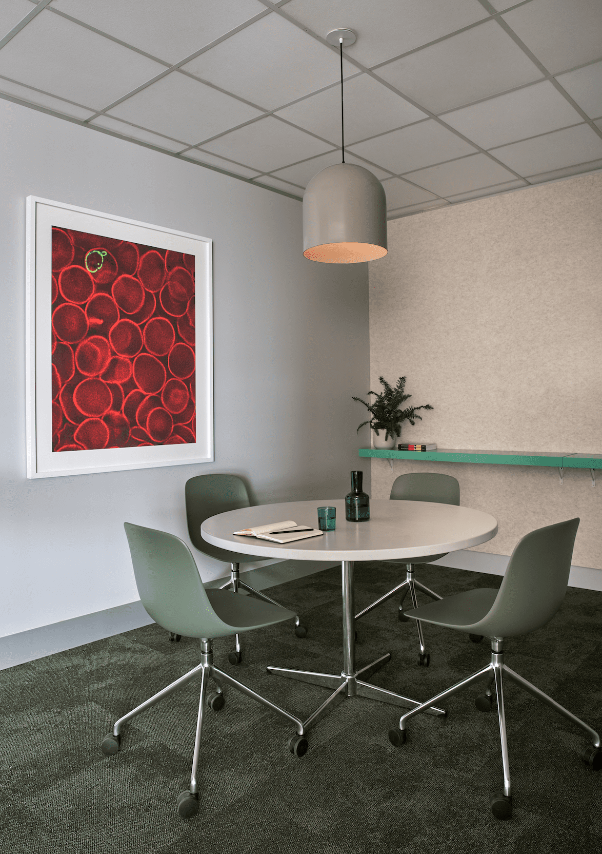 Studio Tate revitalises administration headquarters of the Burnet ...